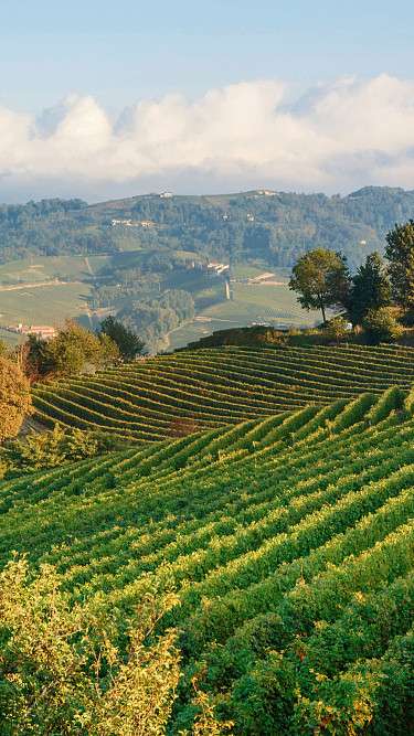 Ferien in der Region Piemont | Italien | Sunstar Hotel Piemont