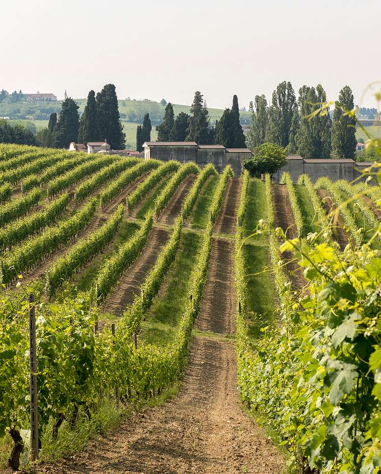 Boutique Hotel with panoramic view | Italy | Sunstar Hotel Piemonte