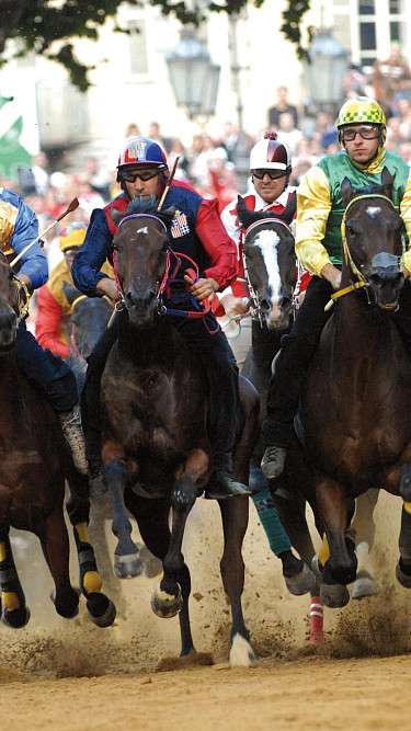 Horse Race in Asti & Donkey Race in Piedmont | Sunstar Hotel Piemonte